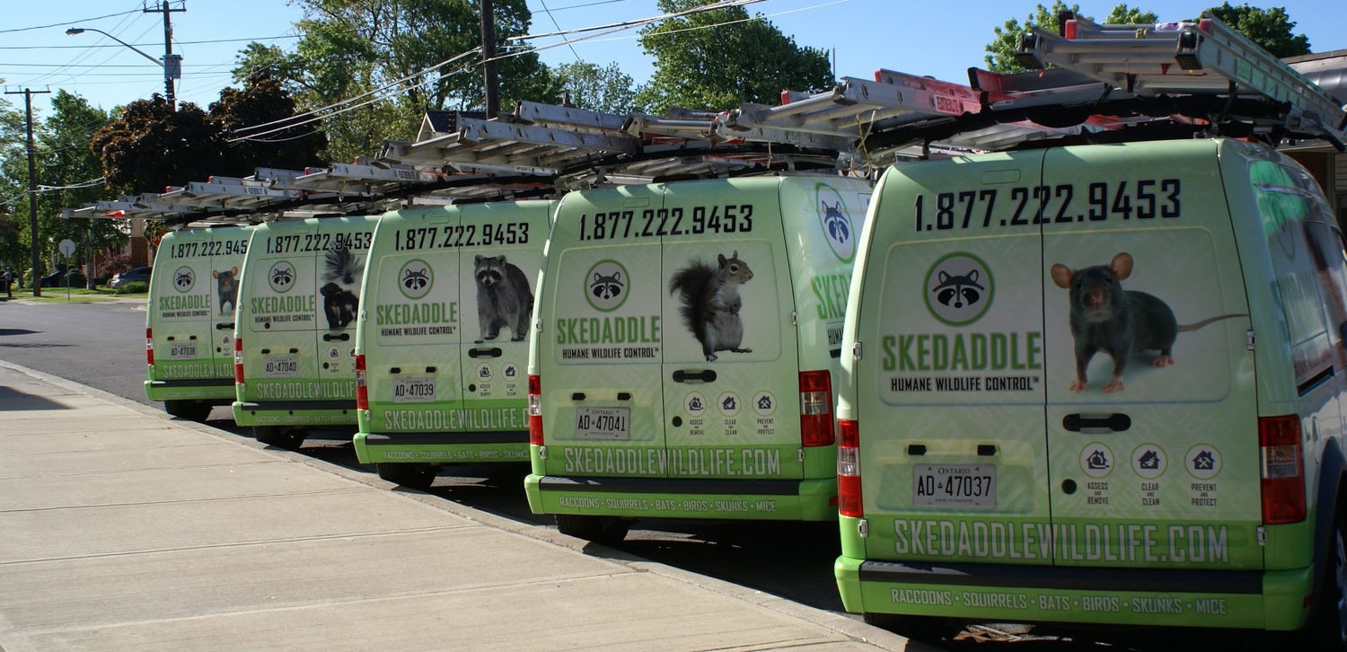 Pest Control Fleet Management Software - Fleetio